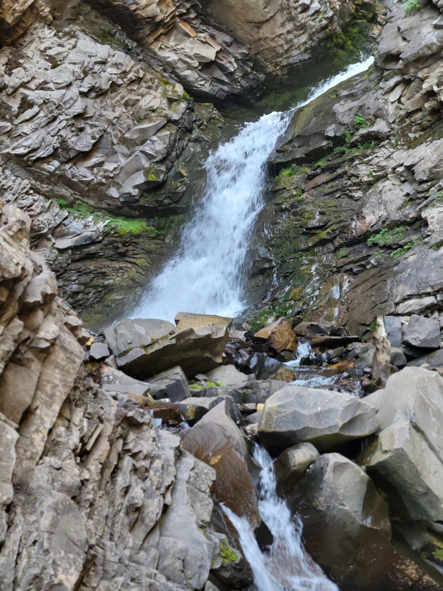 5 Easy, Family-Friendly Hikes in Grande Cache - Rachel Matthews